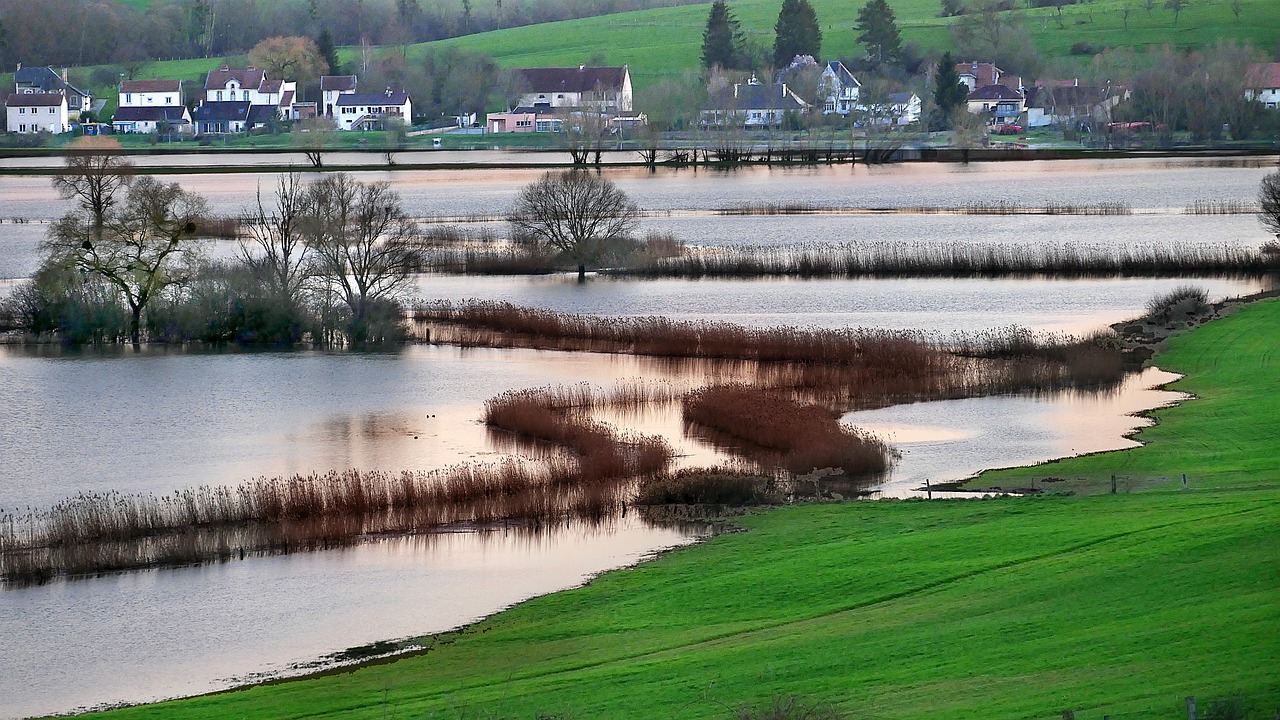 7 Estrategias Para Controlar el Keyword Overflow