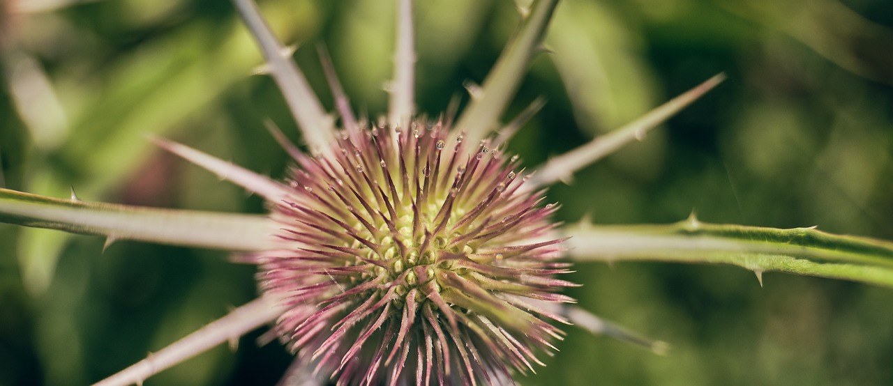 Biomitin para que sirve: 5 beneficios clave que debes conocer