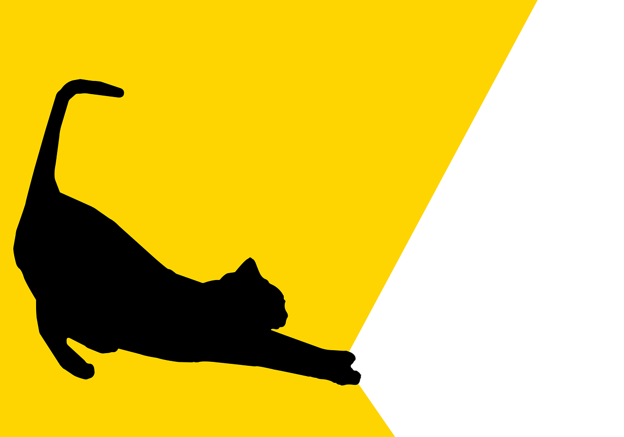 Biomitin para que sirve: 5 beneficios clave que debes conocer